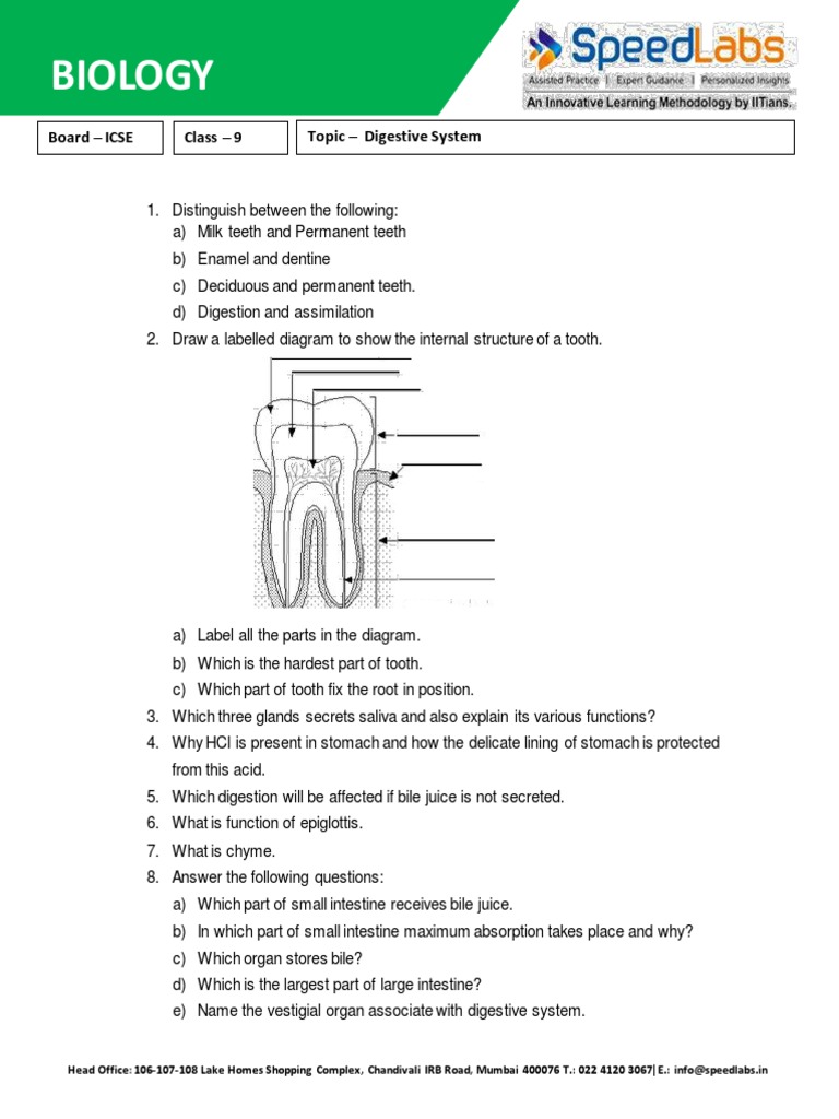 Digestive-System Important-Qs Important-Questions - ICSE | PDF ...