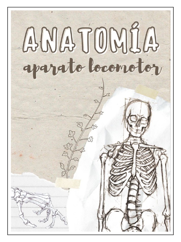 Informe Aparato Locomotor Biologia | PDF | Esqueleto | Músculo