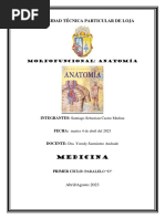 Manual LPP 2022 v.3 Final | PDF | Piel | Hueso