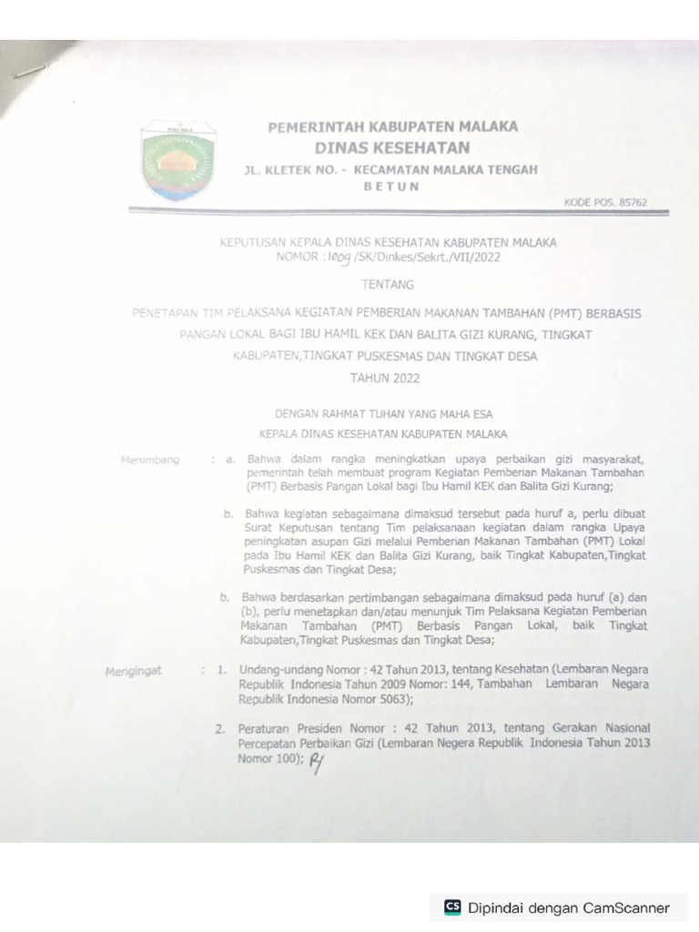 Contoh SK Tim Pelaksana PMT Lokal | PDF