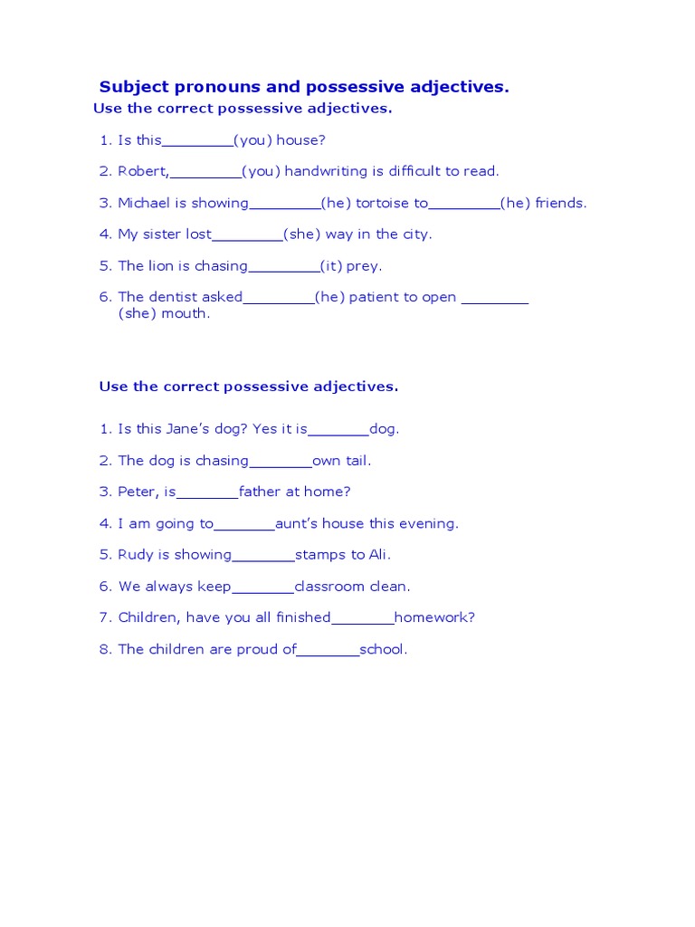 Subject Pronouns and Possessive Adjectives. | PDF | Morphology | Languages