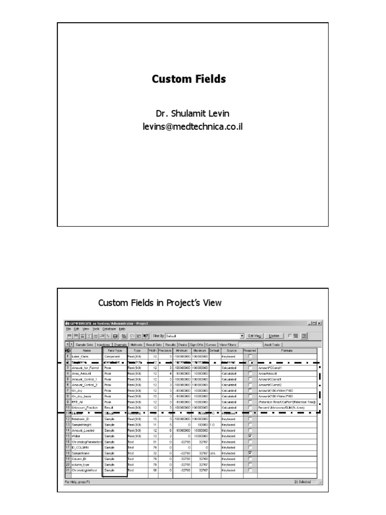 Custom Fields Pdf Boolean Data Type Computer Programming