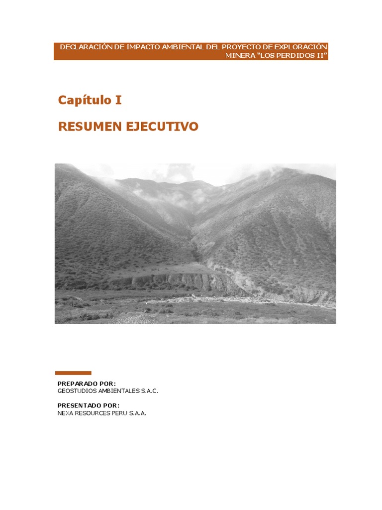 CAP I Resumen Ejecutivo vf2 | PDF