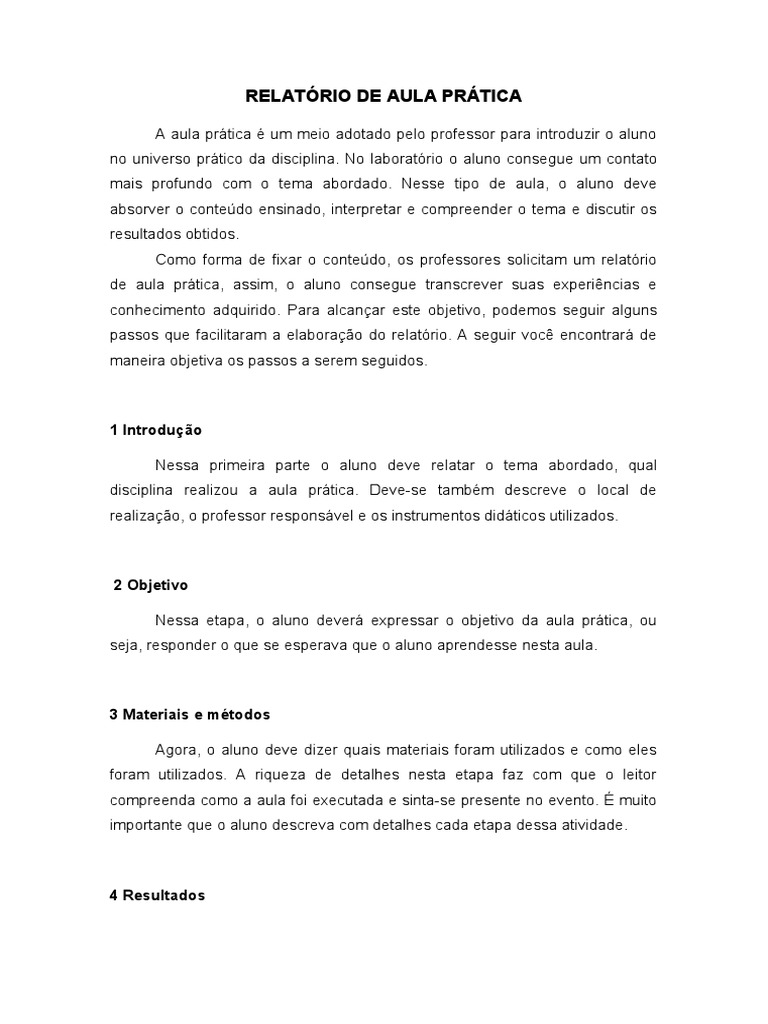 RELATÓRIO DE AULA PRÁTICA (1) Renata | PDF
