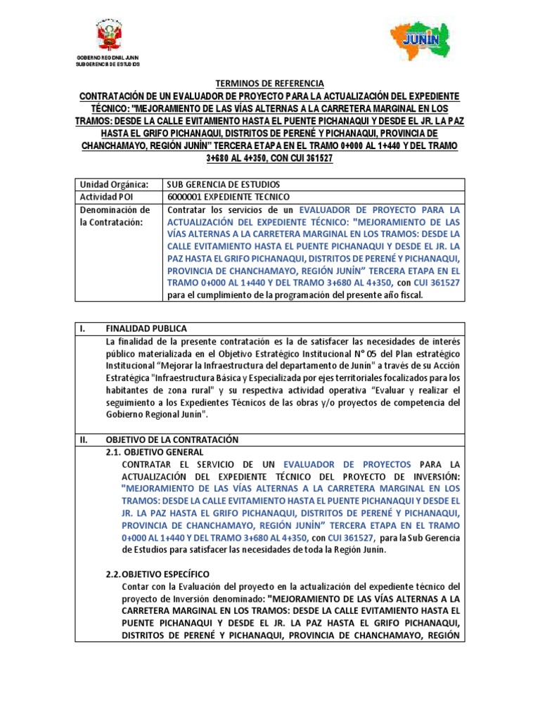 II.1. TDR Evaluador de Proyecto Ok Ok Ok | PDF | Presupuesto