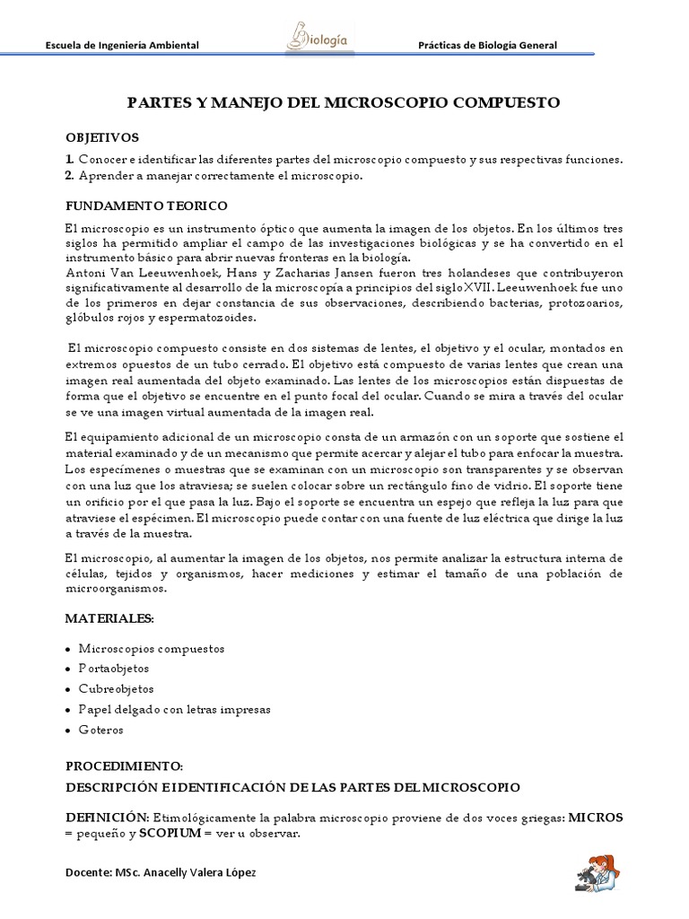 Practica Partes y Manejo Del Microscopio Compuesto | PDF | Microscopio ...