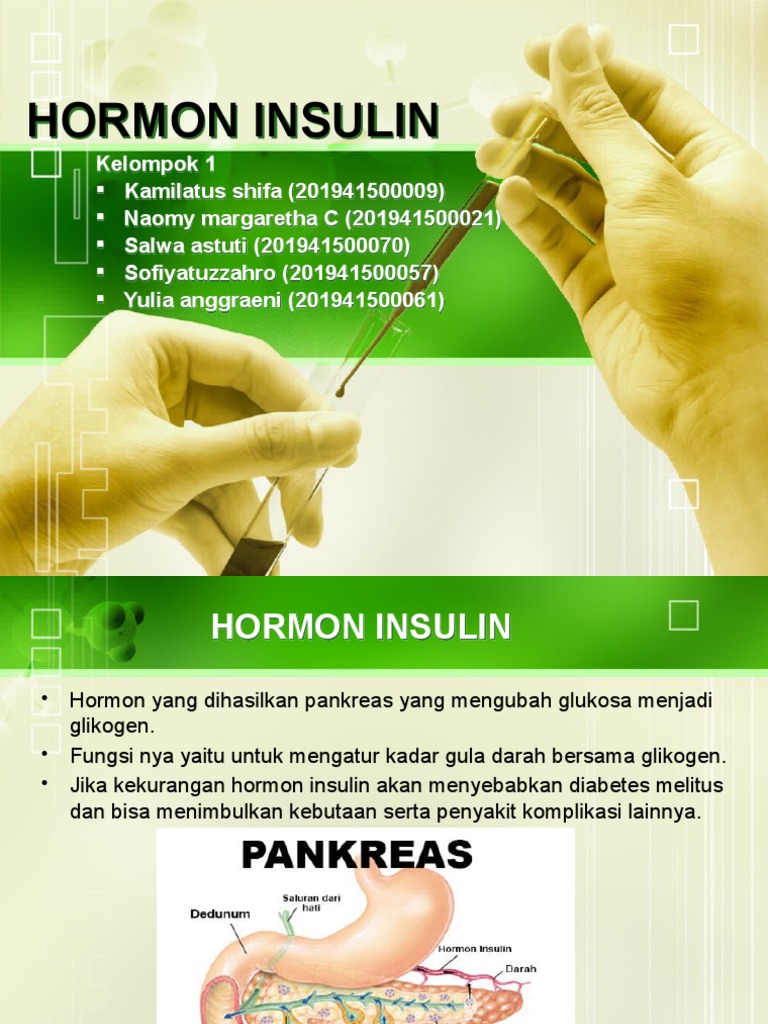 Hormon Insulin | PDF