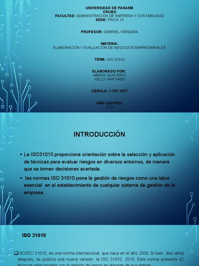 Iso 31010 Adner y Kelly | PDF | Evaluación | Organización internacional ...