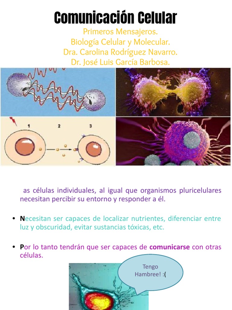 Comunicación celular..pdf | PDF | Transducción de señales | Receptor (Bioquímica)