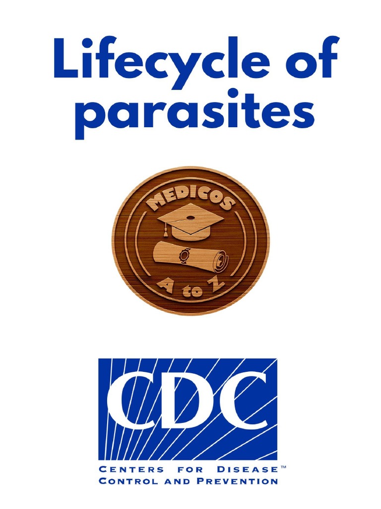 Life Cycles - Parasitology (CDC Images) | PDF