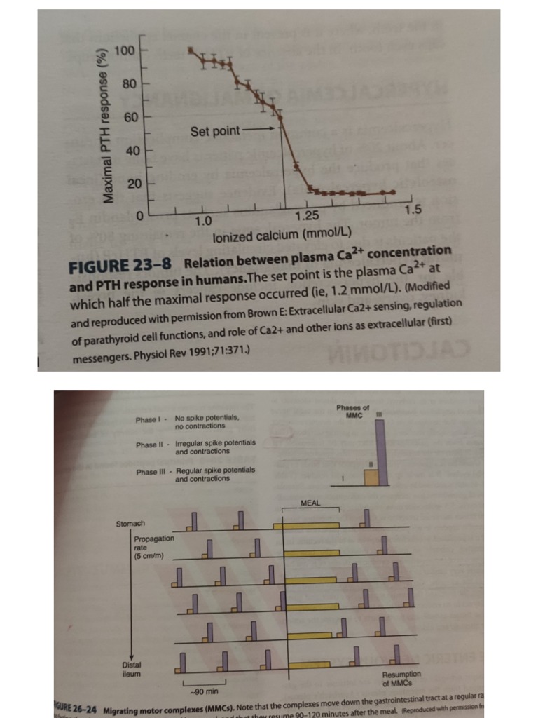Physiology Graphs Compiled by Uy ? | PDF