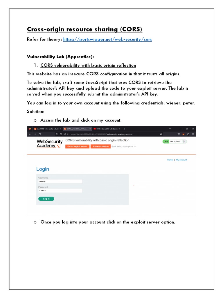 CrossOriginResourceSharing (Portswigger Apprentice Manual) | PDF