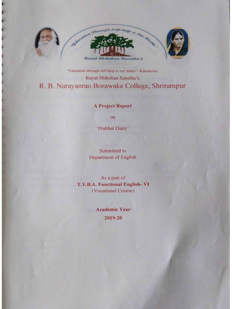 Major Project PDF | PDF