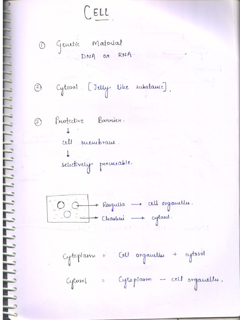 Cell - The Unit of Life - Handwritten Notes | PDF
