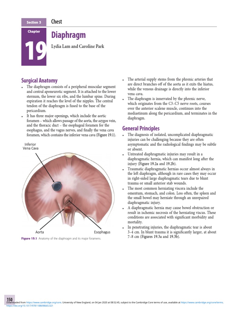 Diaphragm Injuries | PDF | Surgical Specialties | Medical Specialties