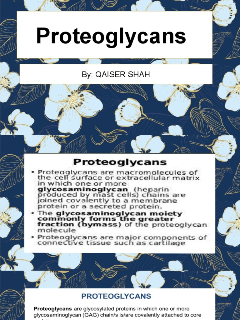 Proteoglycans: Structure and Function | PDF