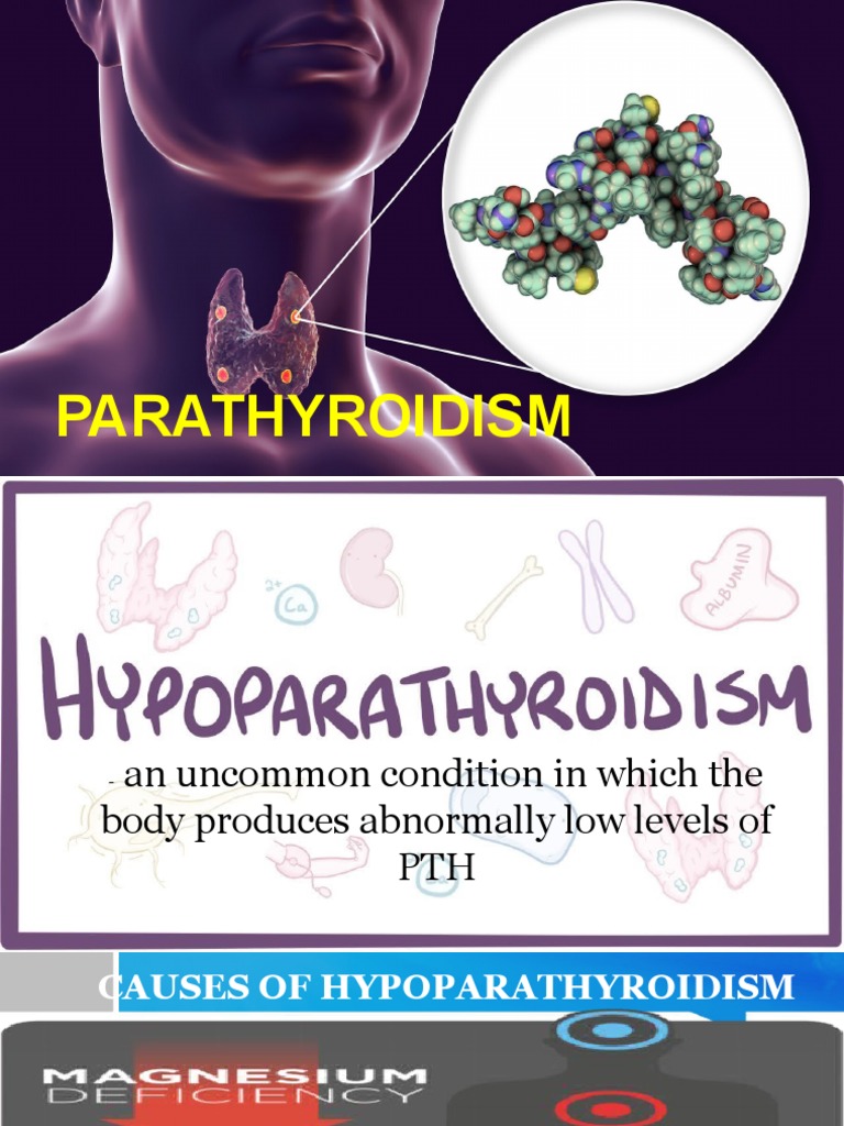 Hypoparathyroidism and Hyperparathyroidism | PDF | Diseases And ...