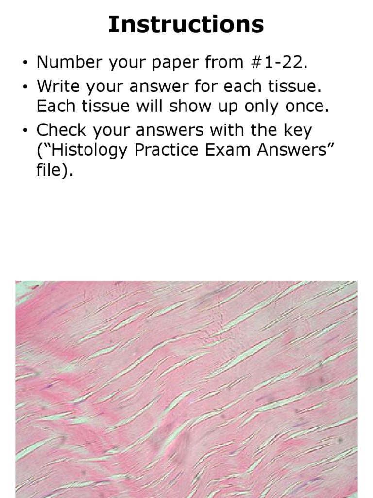 Histology Practice Exam Questions PDF | PDF