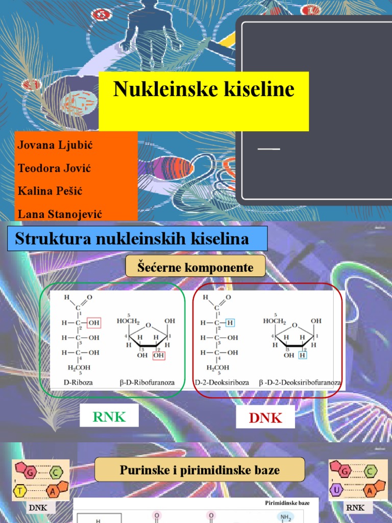 STRUKTURA MOLEKULA RNK.pptx | PDF