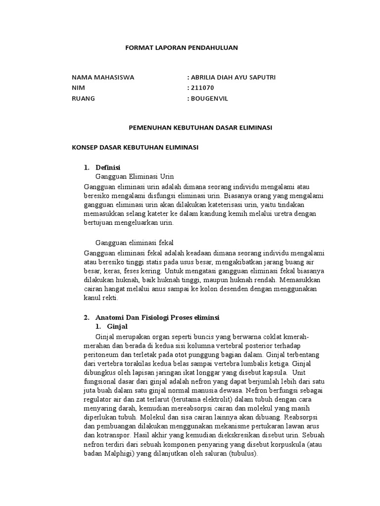 Format Laporan Pendahuluan | PDF