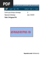 Cours Css Complet | PDF | Html | Langage de balisage