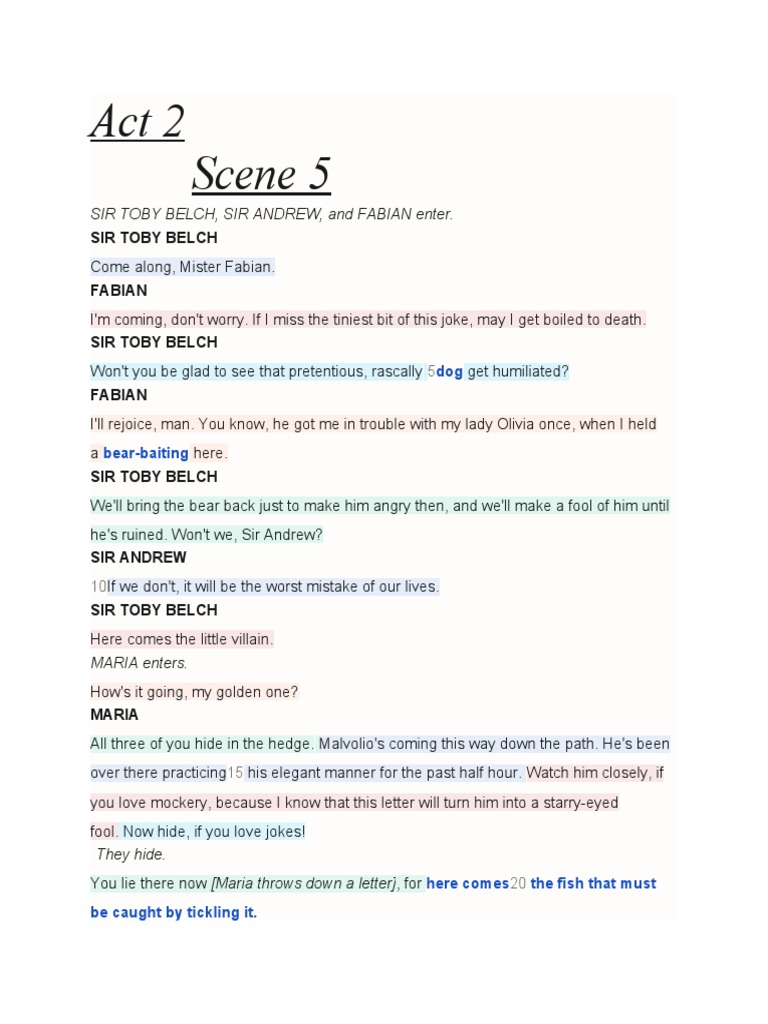 Twelfth Night Notes | PDF