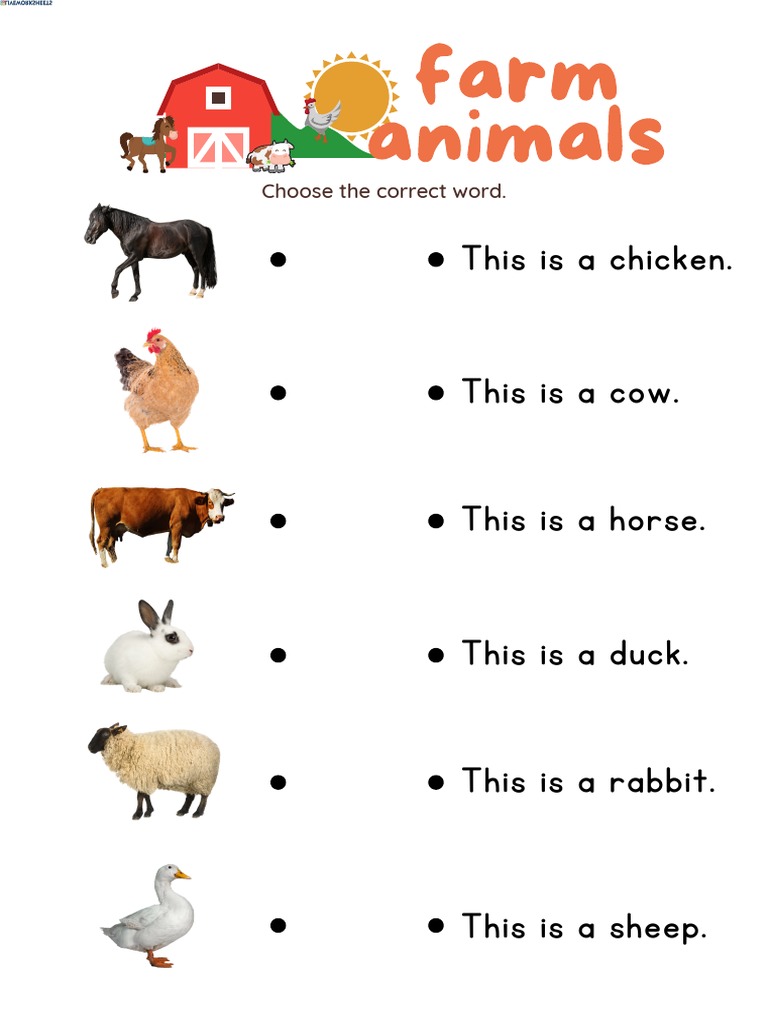 Farm Animals 1ST Grade | PDF