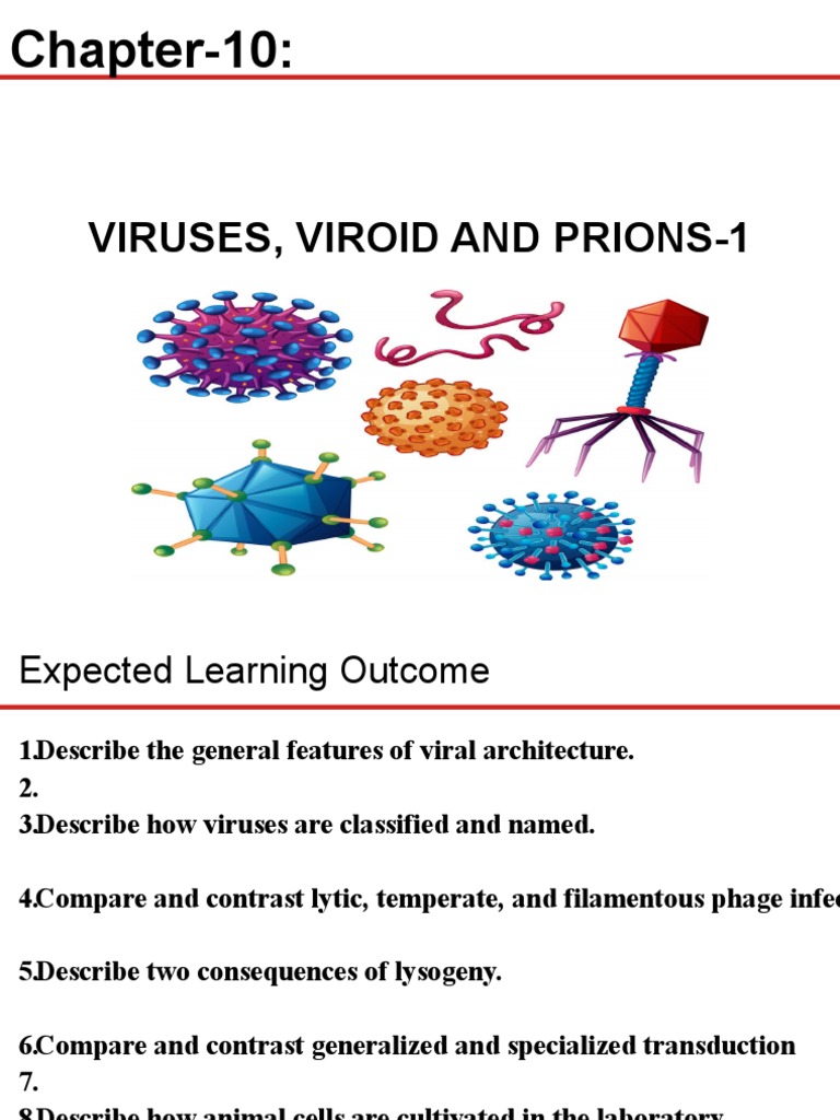 Chapter 13 Viruses, Viroids and Prions-1 | PDF | Virus | Bacteriophage
