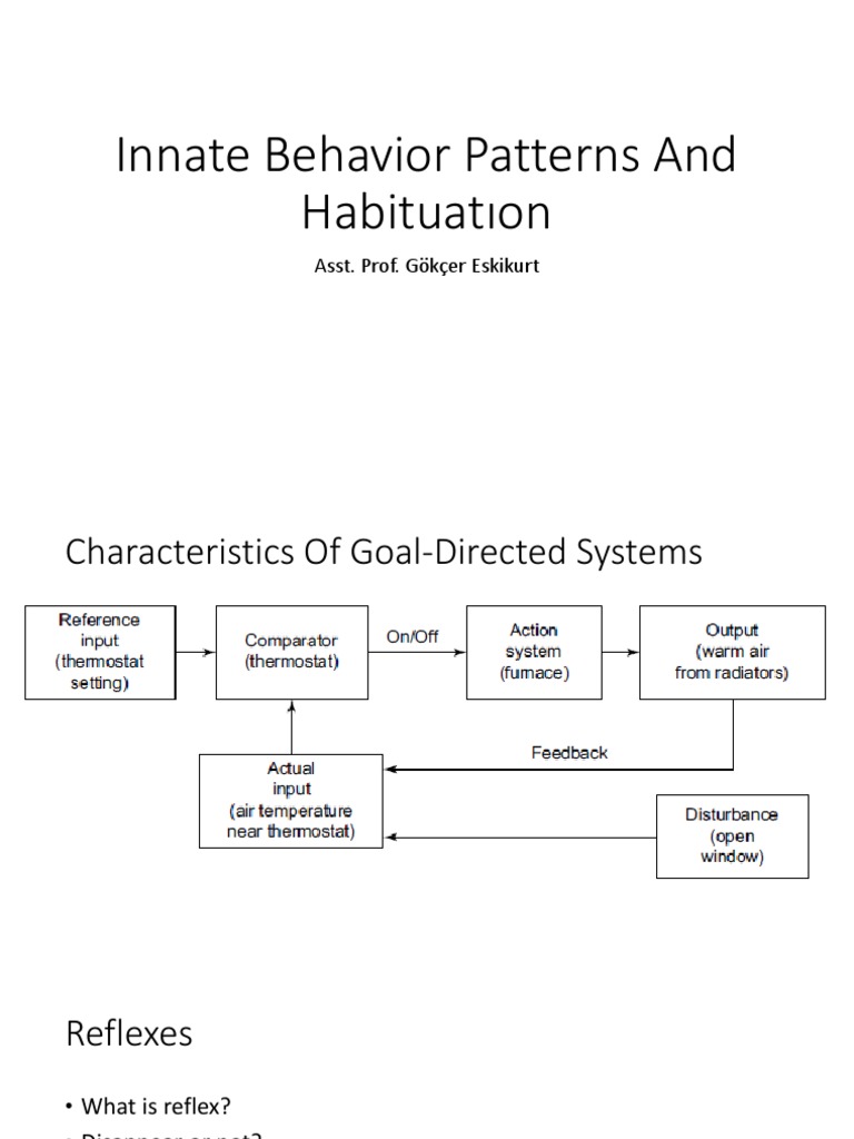 Innate Behavior Patterns and Habituation | PDF | Mental Processes ...