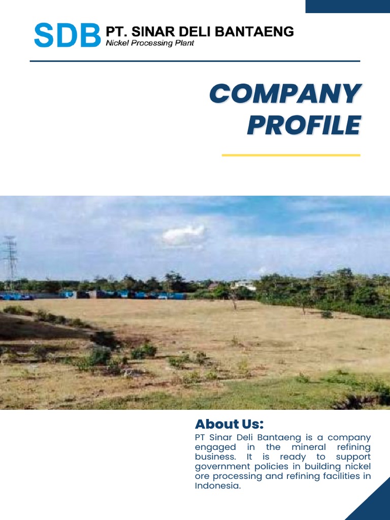 Company Profile of SDB | PDF