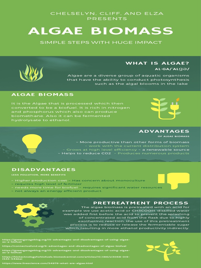 Algae Biomass Simple Steps | PDF | Biofuel | Algae