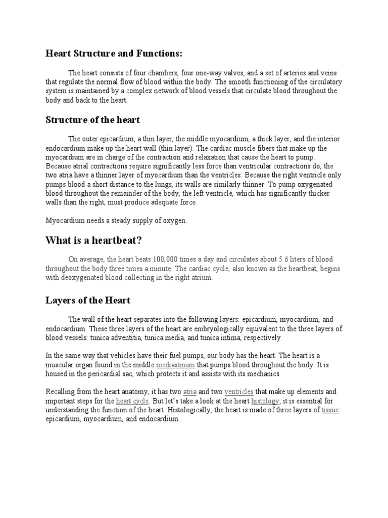 Heart Structure and Functions | PDF | Heart | Cardiac Muscle