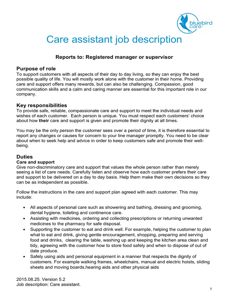 Care Assistant Role Overview | PDF | Health Care