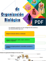 Interpretación Criminalística de Las Posiciones Cadavéricas | PDF ...