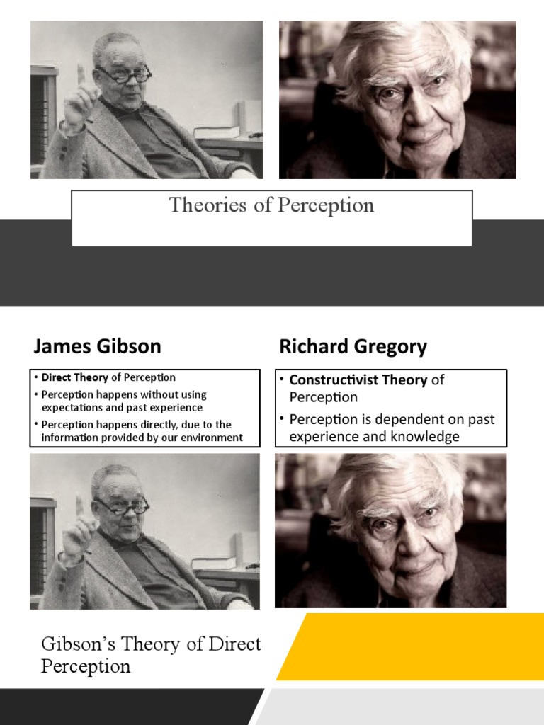 4 Direct Perception Gibson | PDF