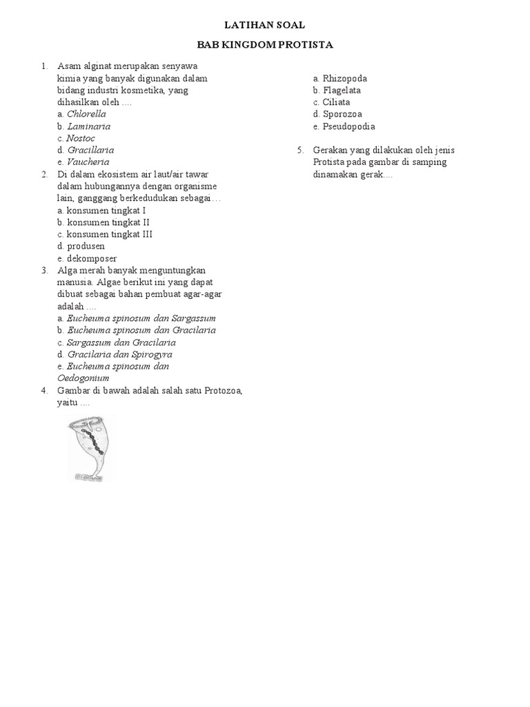 Soal Protista | PDF
