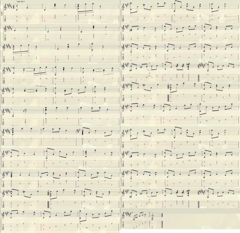 Spring Sunshine | PDF