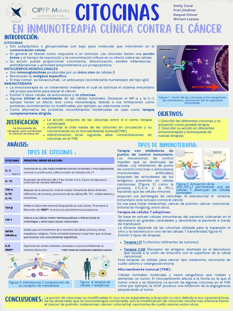 Citocinas en Inmunoterapia Clinica Contra El Cancer | PDF | Citocina ...