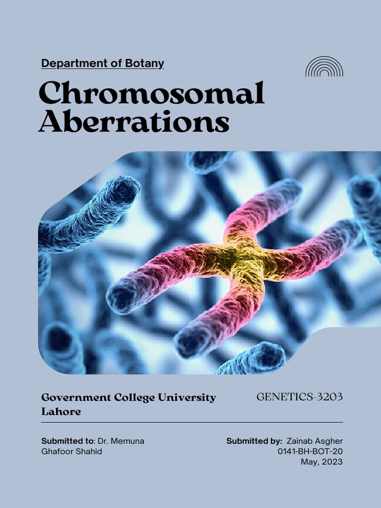 Choromosomal Aberrations Assignment Zainab Asgher | PDF | Fluorescence In Situ Hybridization ...
