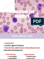 WBC Morphology | PDF | White Blood Cell | Granulocyte