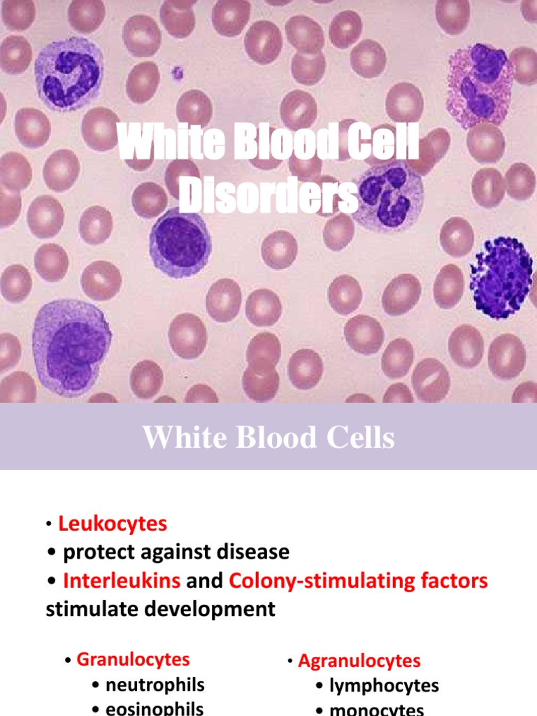 WBC Disorders Students | PDF | White Blood Cell | Leukemia