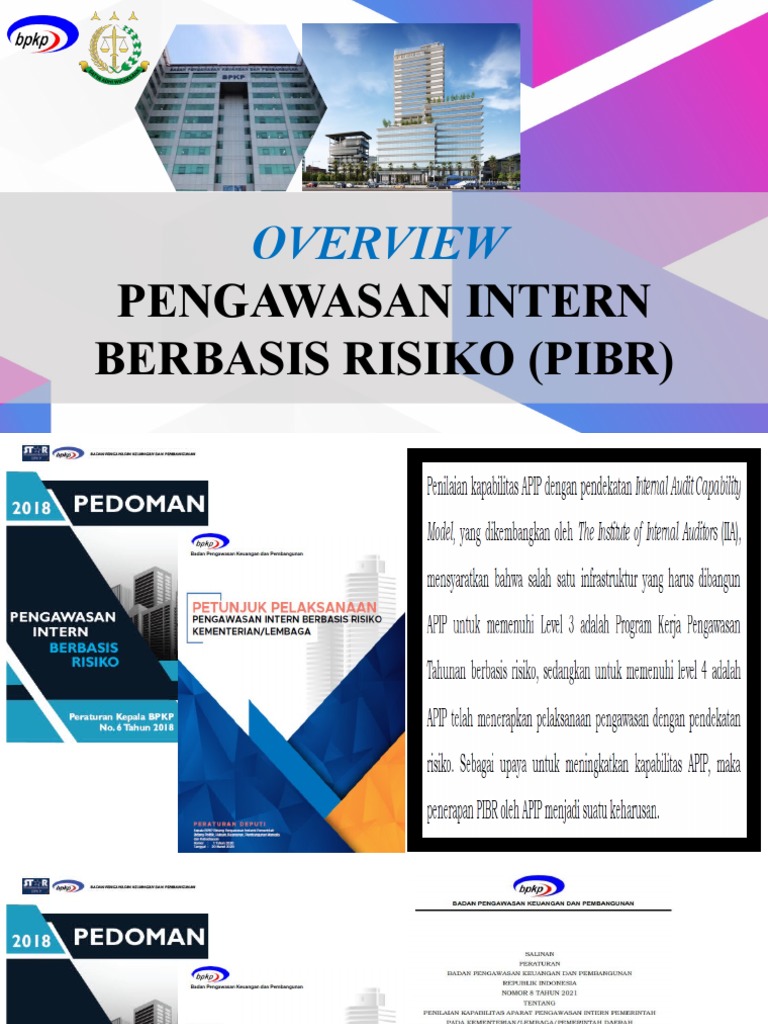 Overview PIBR & PPBR | PDF