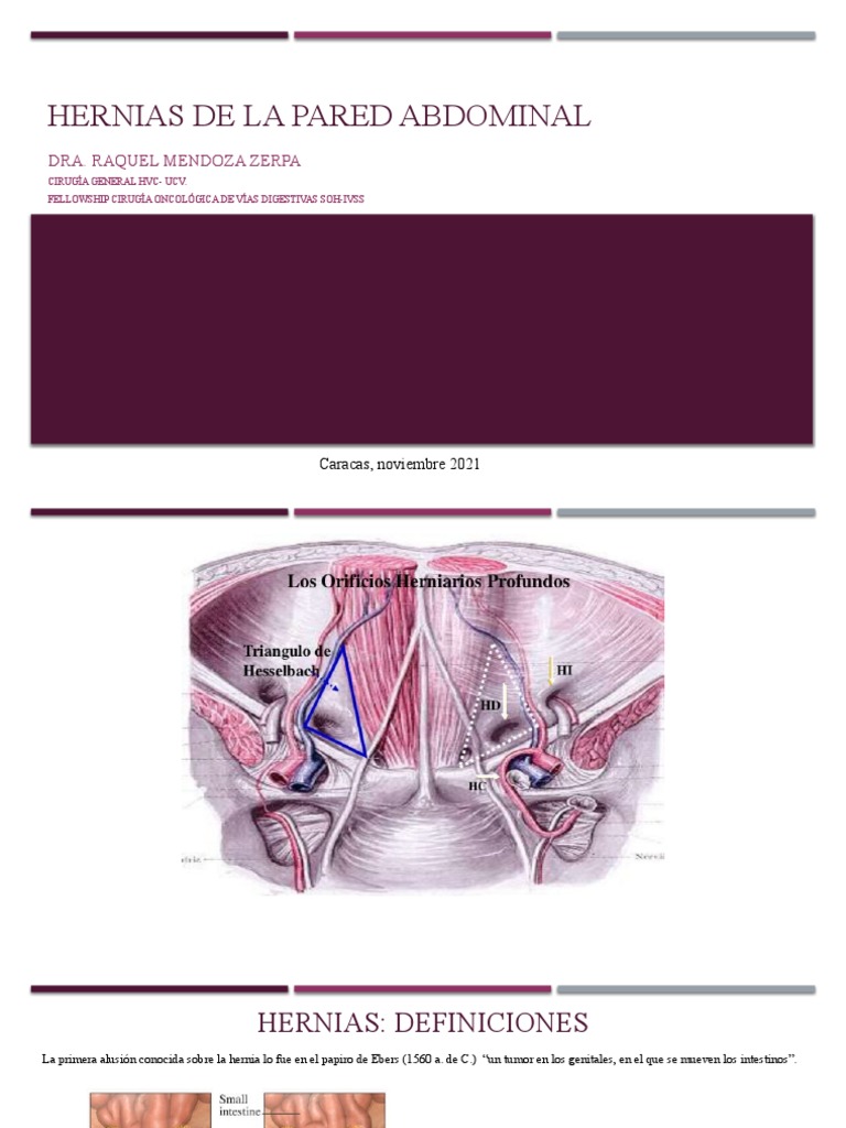 Hernias de La Pared Abdominal | PDF | Abdomen | Anatomía