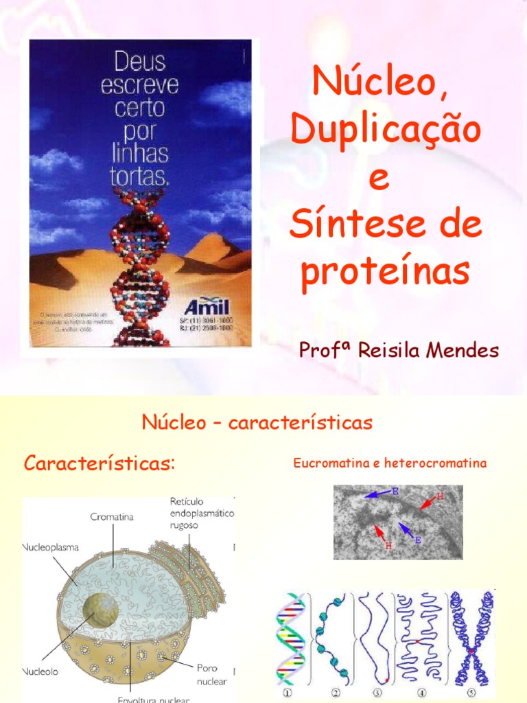Nucleo e Sintese Proteica | PDF