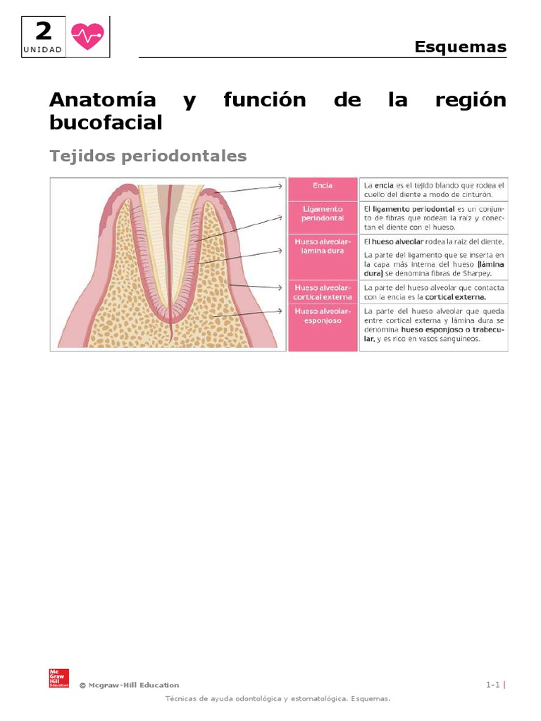 02 Doc 002 PDF | PDF