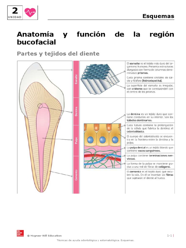 02 Doc 001 Pdf Pdf