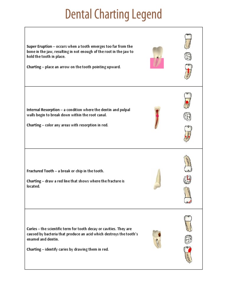 Charting Legend | PDF | Tooth | Tooth Enamel