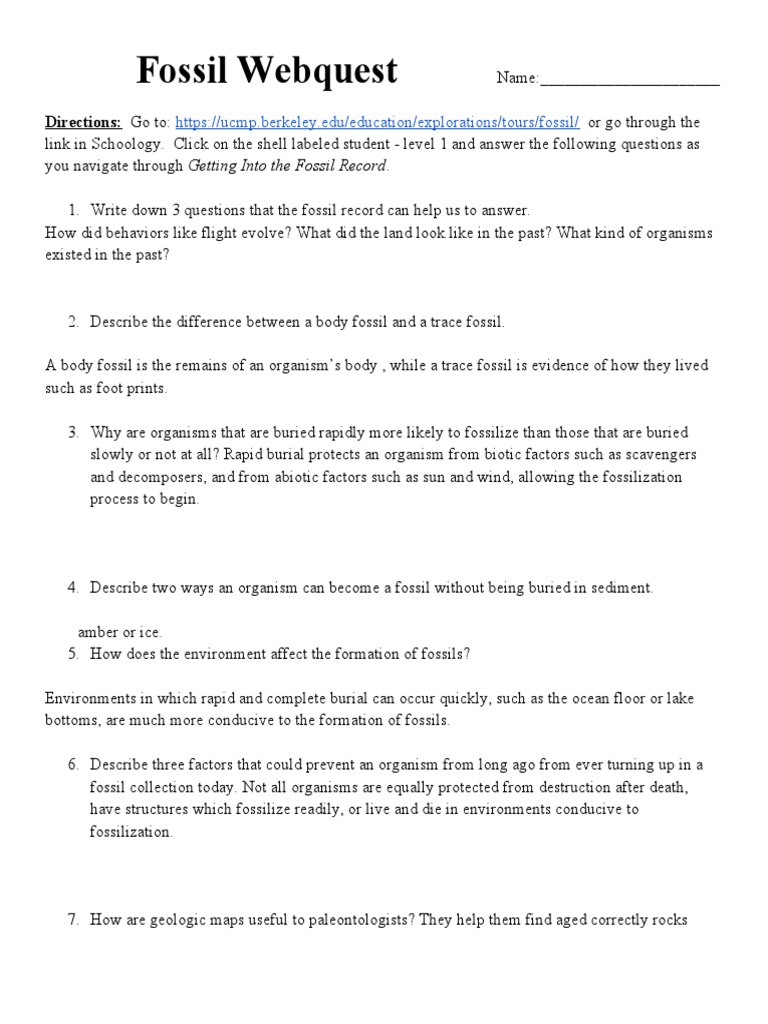 Fossil Webquest 2022 | PDF | Fossil | Earth Sciences