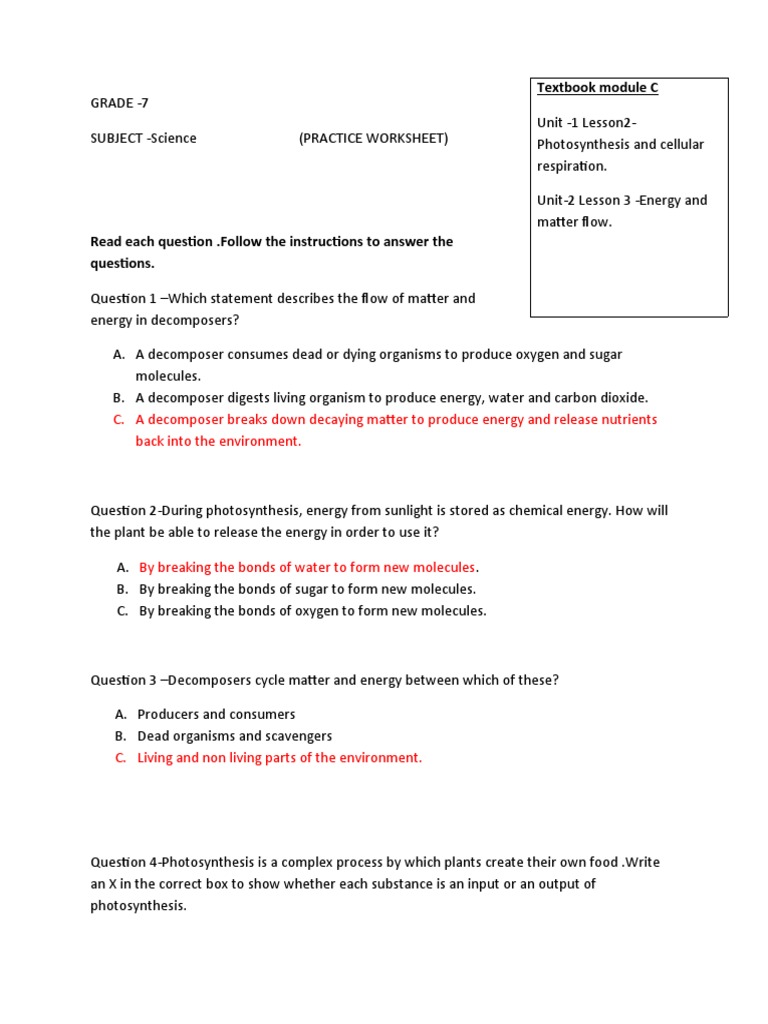 Photosynthesis and cellular respiration practice questions | PDF ...