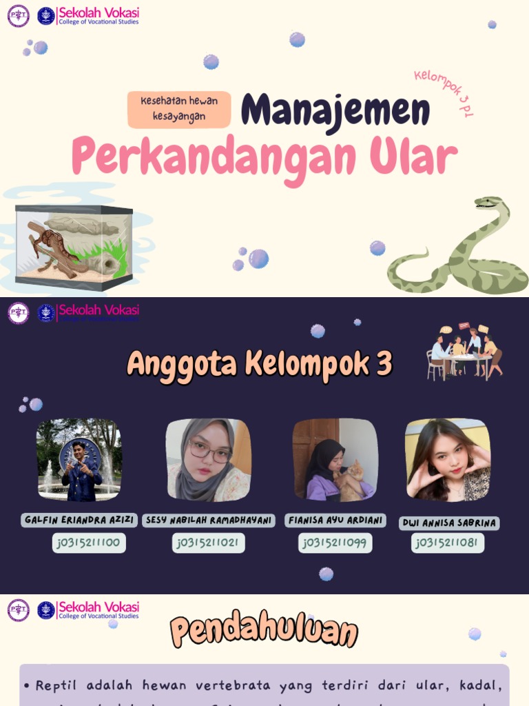 Kelompok 3 P1 - Manajemen Perkandangan Ular | PDF